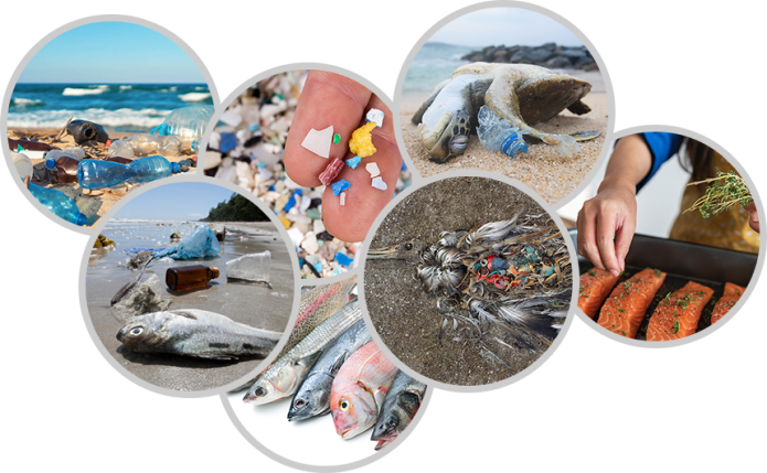 OCEANPLASTIK - impact startup to clean up and recycle (ocean) waste